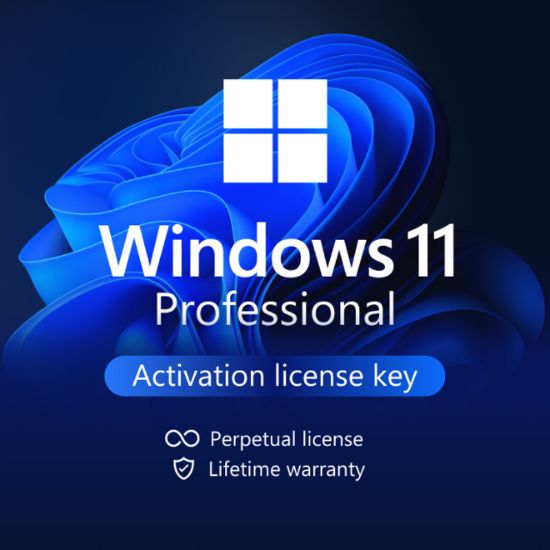 Windows 11 Professional Activation Key Lifetime Permission - MeetIDEA